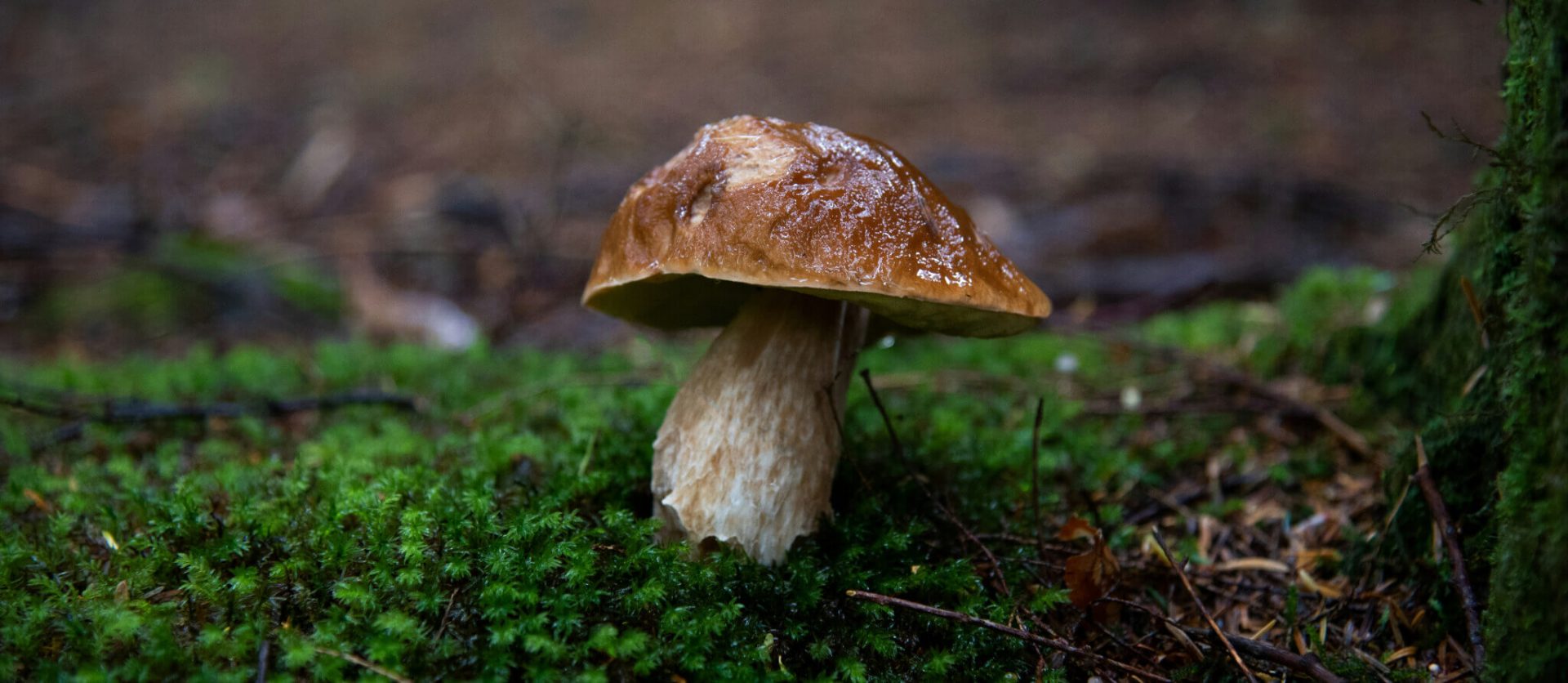 Remove Background from Image for Free | Online Photo Background Eraser ...