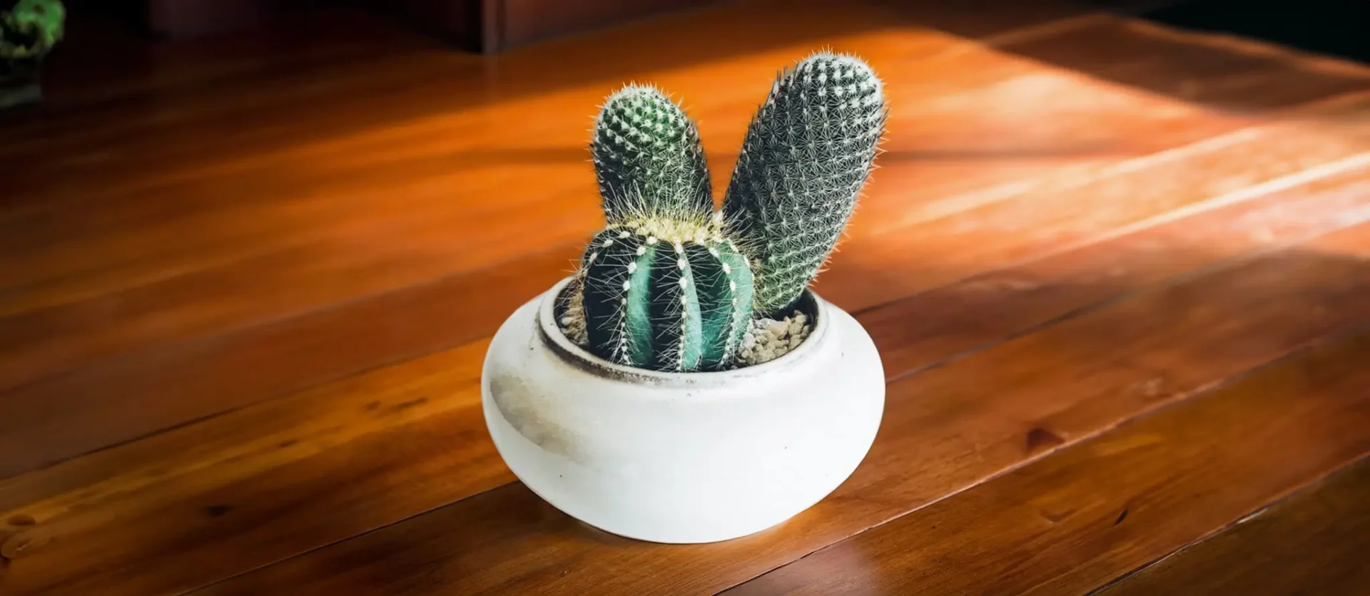 Darken Image Background | Adjust Photo Brightness & Contrast | Enhance ...