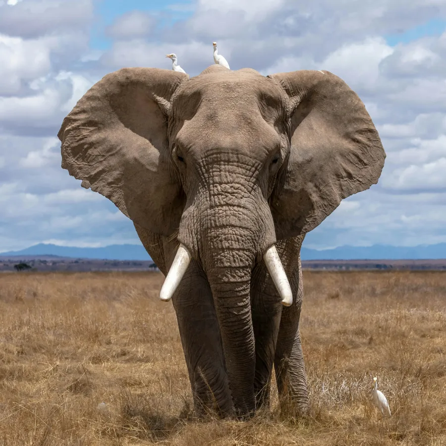 Rotate Image to the Right Online | Free & Fast Photo Rotator | Flip ...