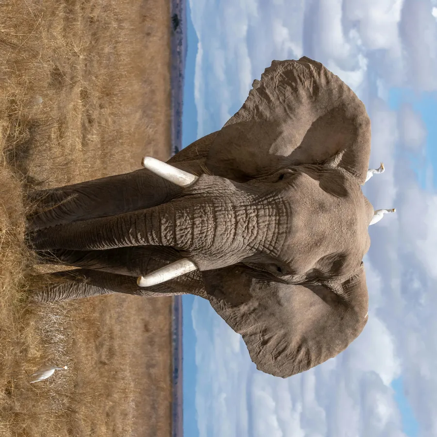 Rotate Image to the Right Online | Free & Fast Photo Rotator | Flip ...