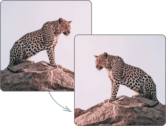 Reflect Image Online | Flip & Mirror Photos Instantly | Reverse Picture ...